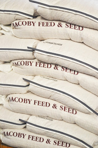 Jacoby's From Melvin to Austin - Natalie Paramore