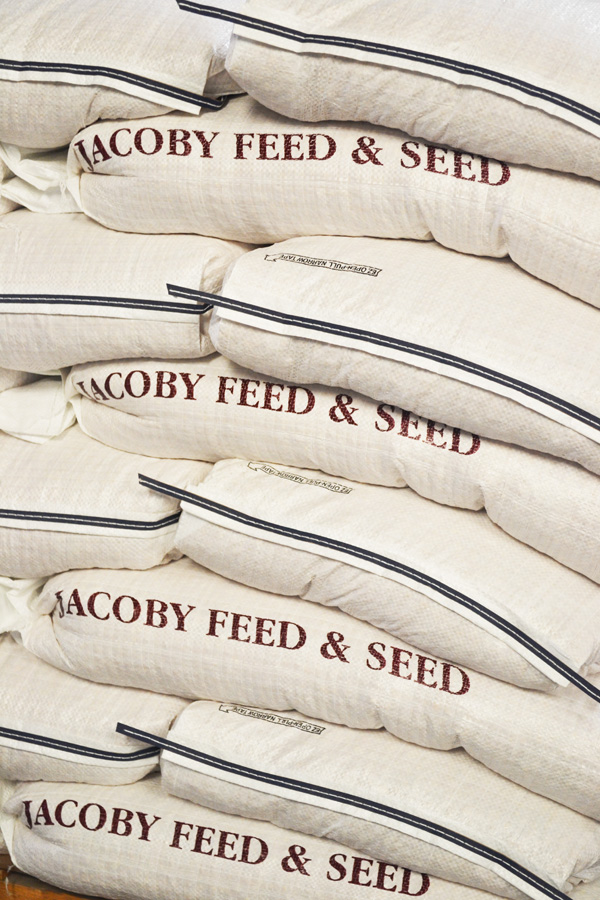 Jacoby's From Melvin to Austin - Natalie Paramore